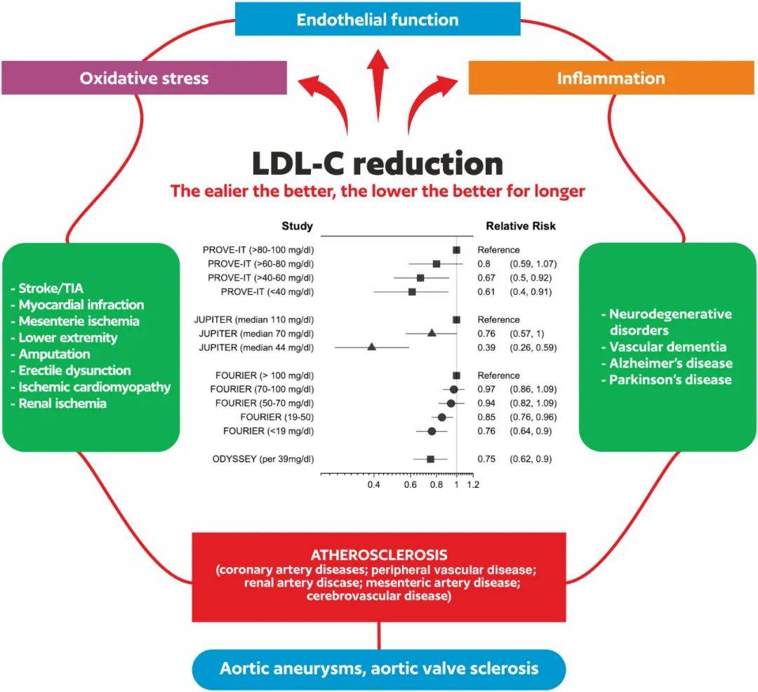 新生儿LDL-C最理想，LDL应被视为毒素 | 欧洲心脏杂志述评_风险_水平_治疗