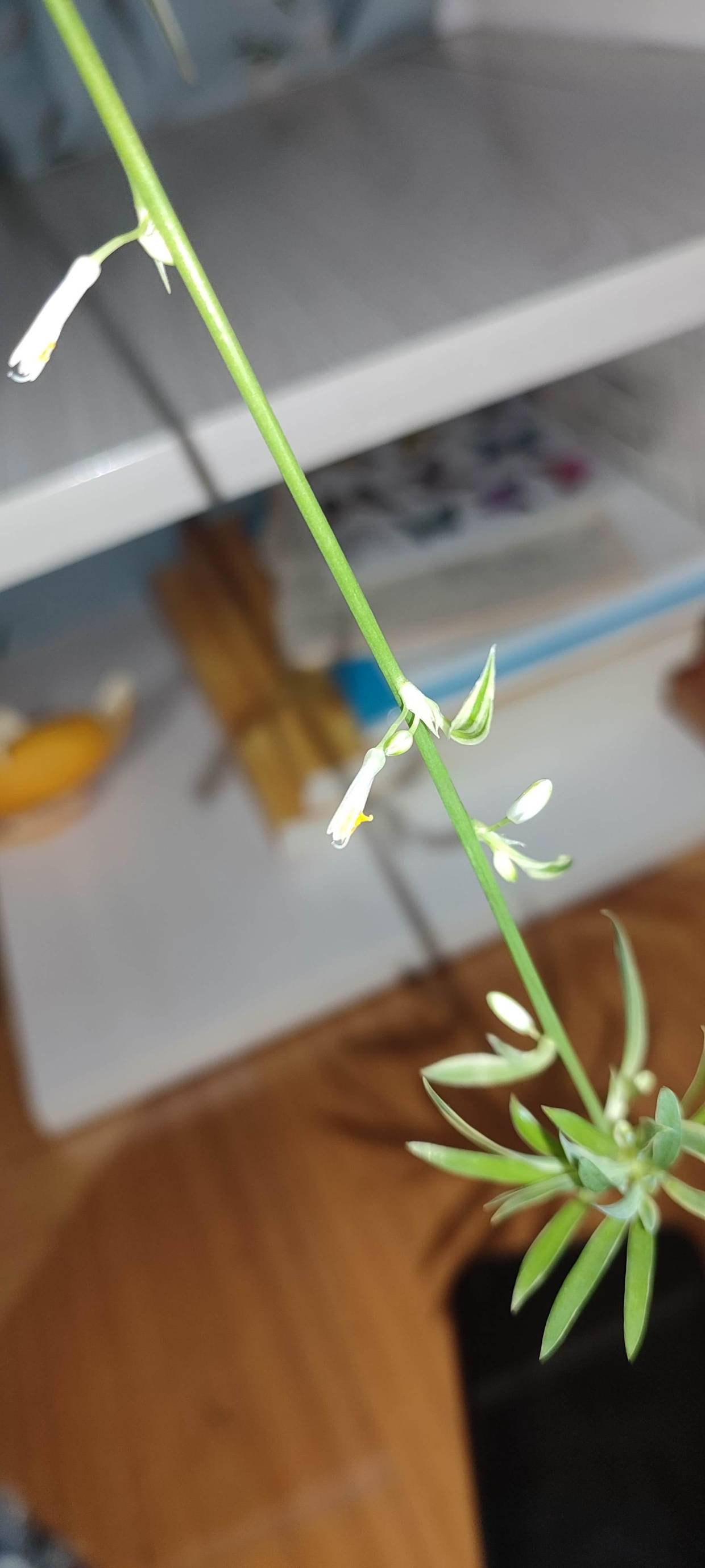 XLD6-71减速机变速器XLD6-71-2.2底脚尺寸XLD6-71-3